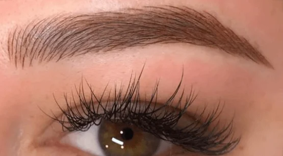 Combination Brows Healing Process | The Art Of Patience